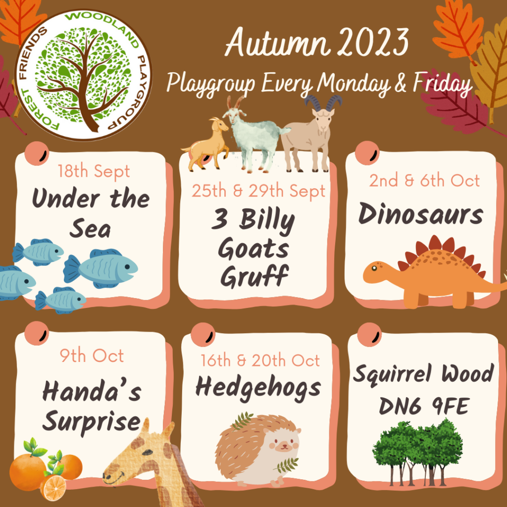 What's coming up at Forest Friends...